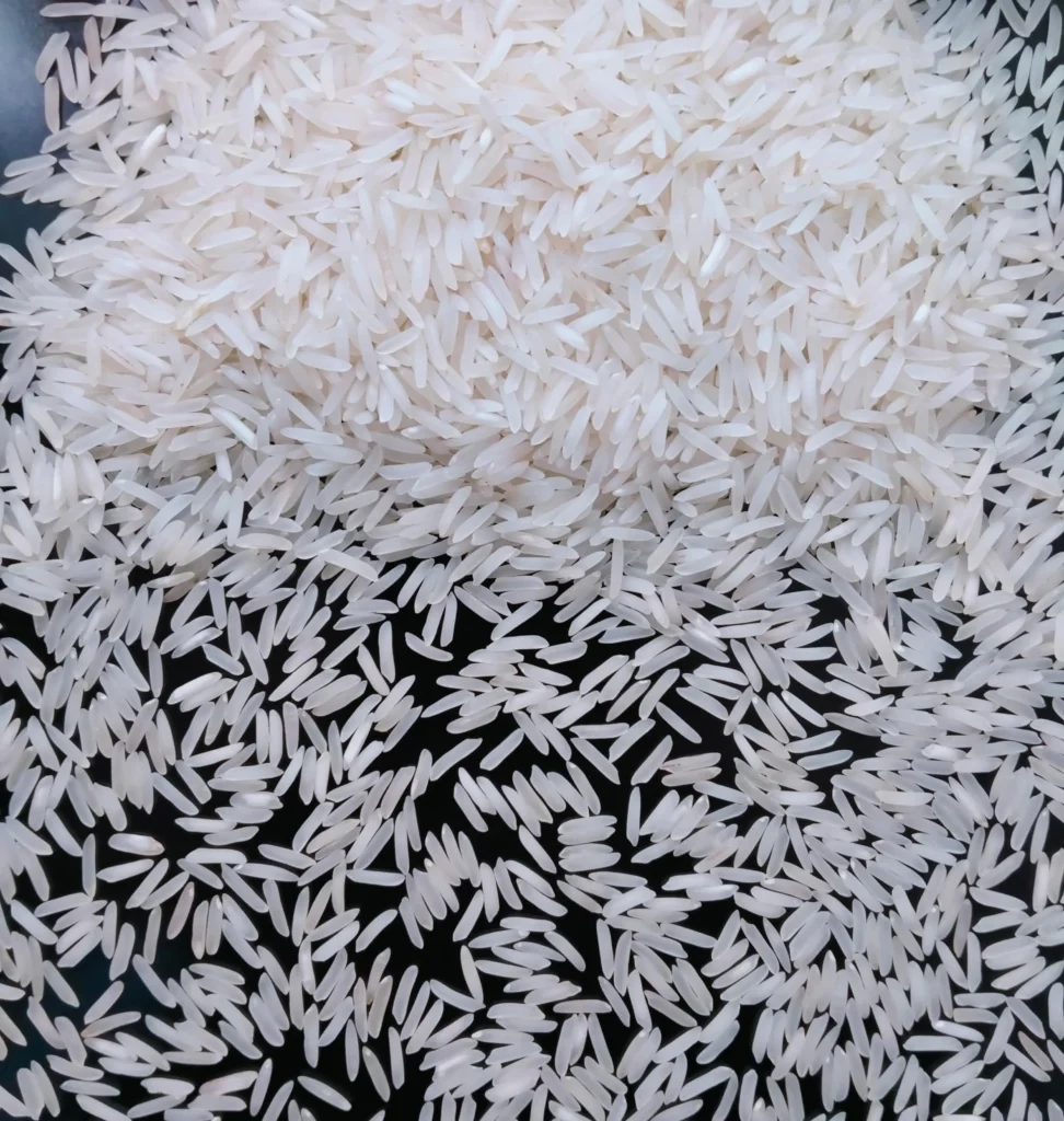 Sharbati Basmati Steam Rice - Organica Agritek Food Industries
