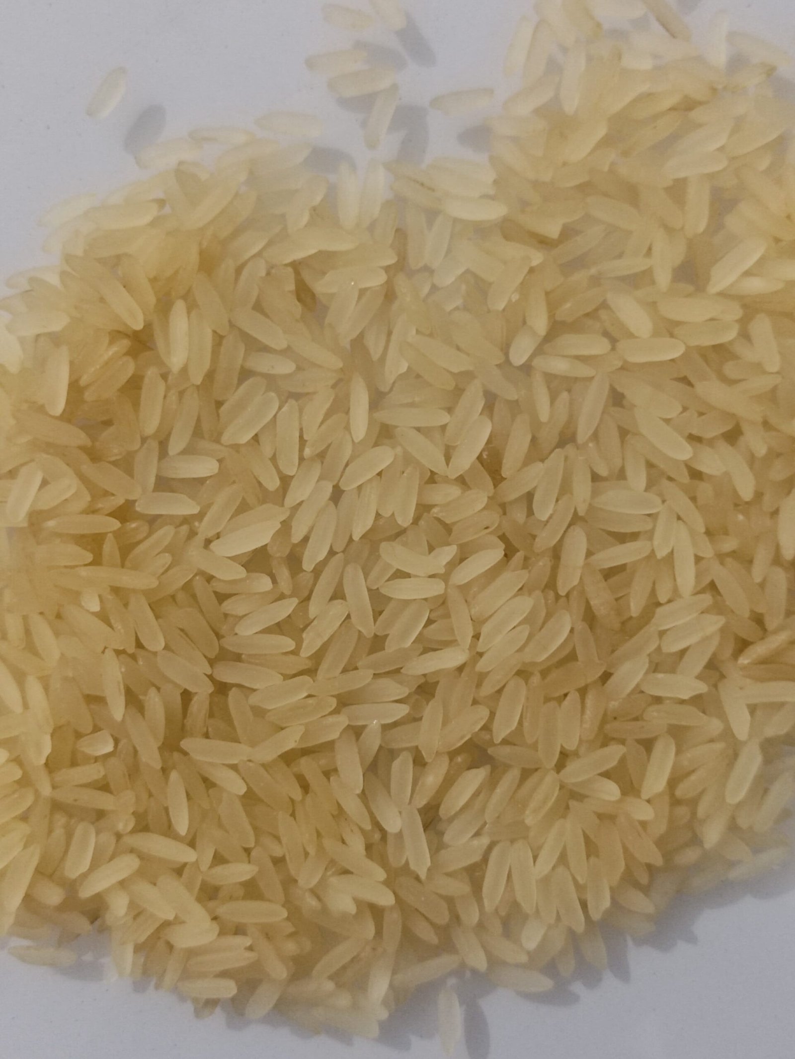 IR-64 Non-Basmati Rice - Organica Agritek Food Industries